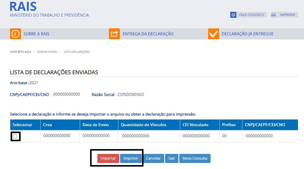 RAIS transmitida pelo eSocial: aprenda como baixar cópia